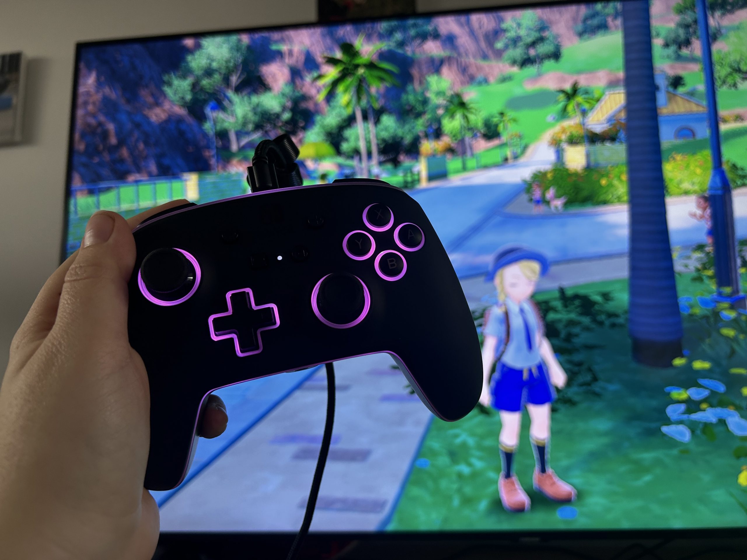 Spectra Nintendo Switch Wired Controller - Sublte Glow – Big Boss ...